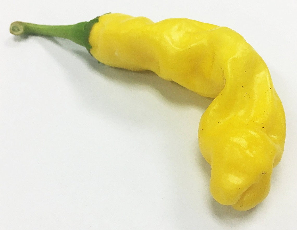 Yellow Peter Chili Willy Heirloom Pepper Premium Seeds Packet - Walmart.com