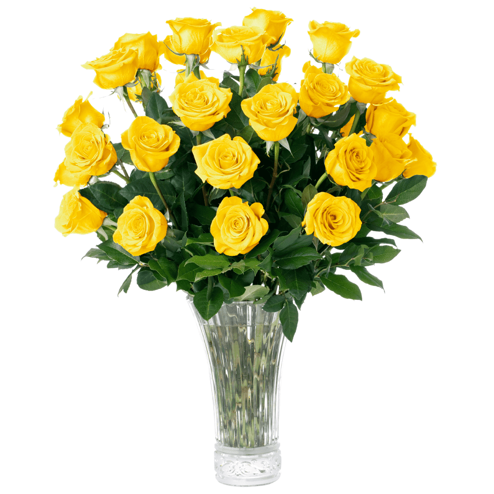 Yellow Roses Fresh Flowers Delivery - 2 Dozen Roses for Delivery ...