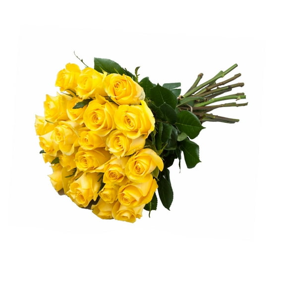 Yellow Roses Gift Bouquet - Farm Direct Fresh Cut Flowers - 24 Stems ...