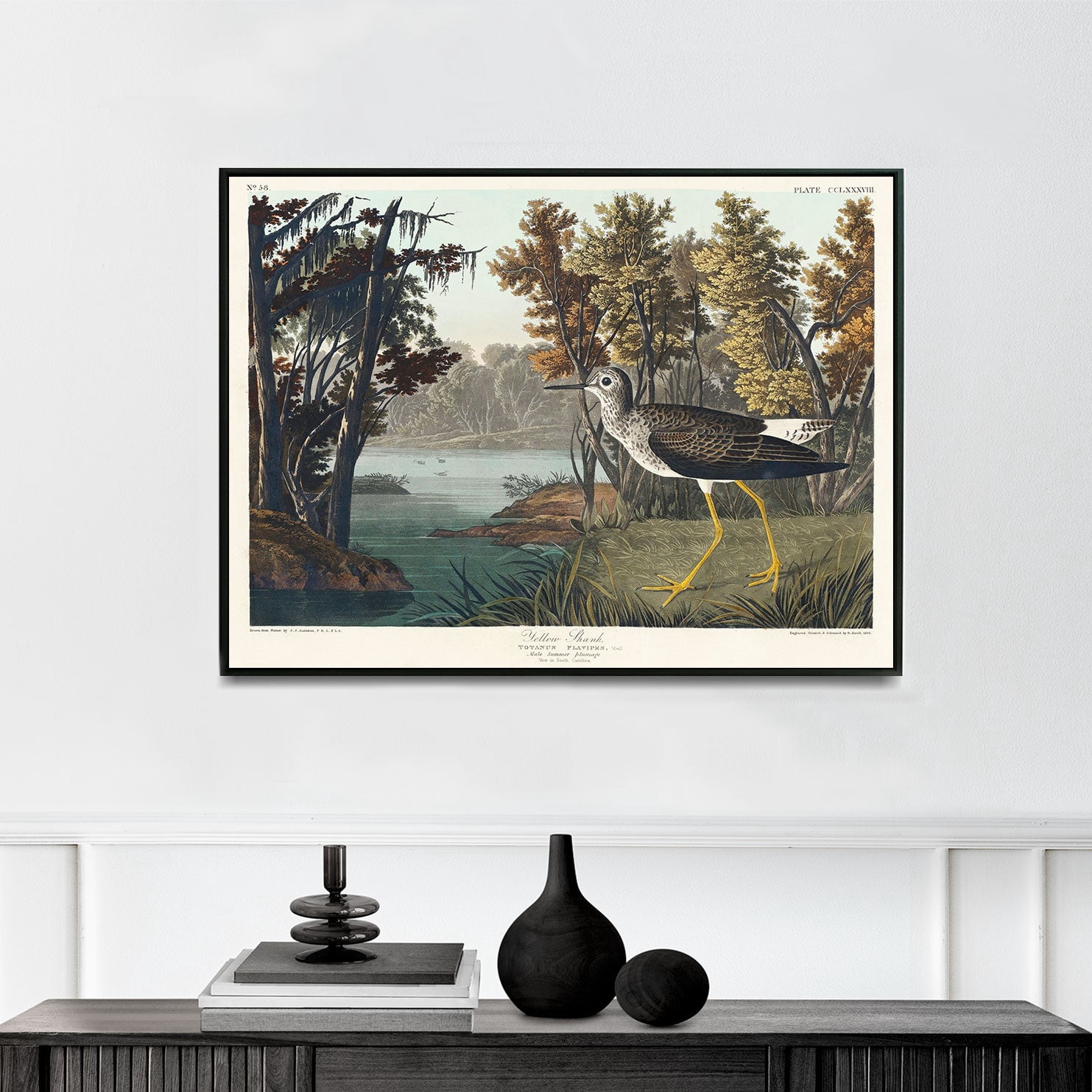 Yellow Shank - 1827 | John James Audubon | Premium Fine Art Print ...
