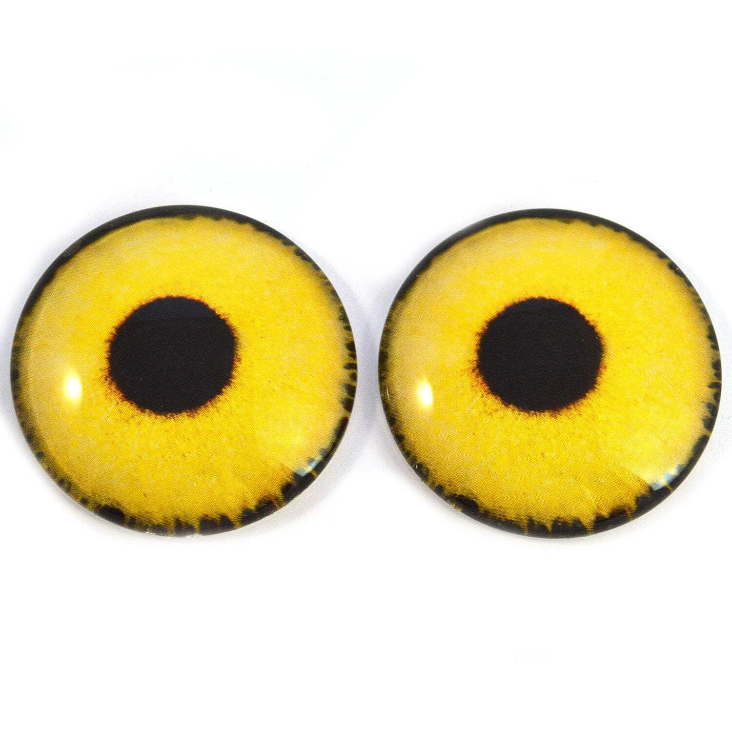 Yellow Sparrow Hawk Bird Glass Eyes - Walmart.com