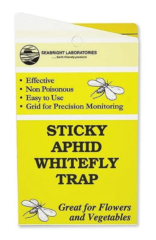 Yellow Sticky Aphid Whitefly Trap Pack of 15 - Walmart.com