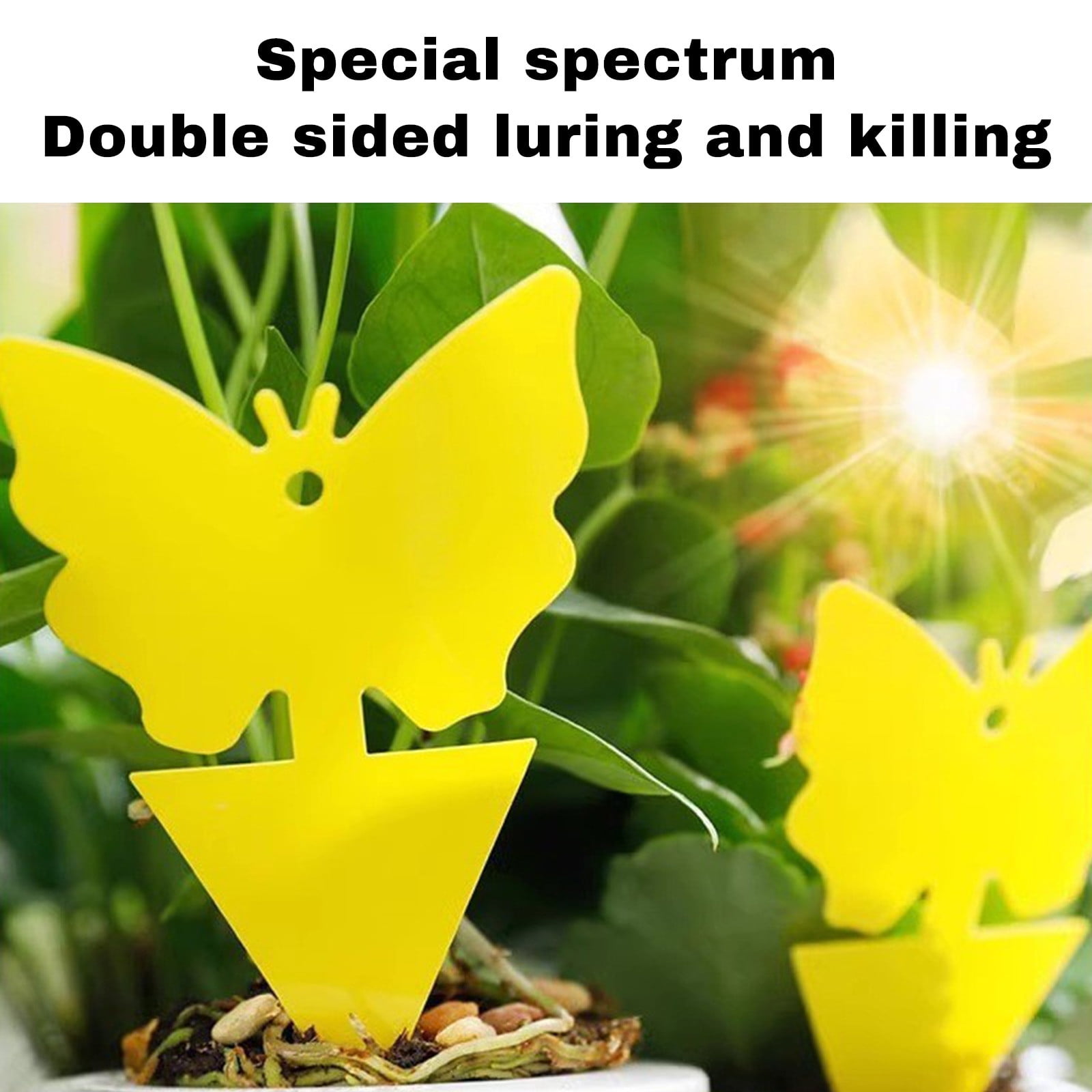 Yellow Sticky Bug Traps for White Flies Mosquitos Fungus Gnats ...