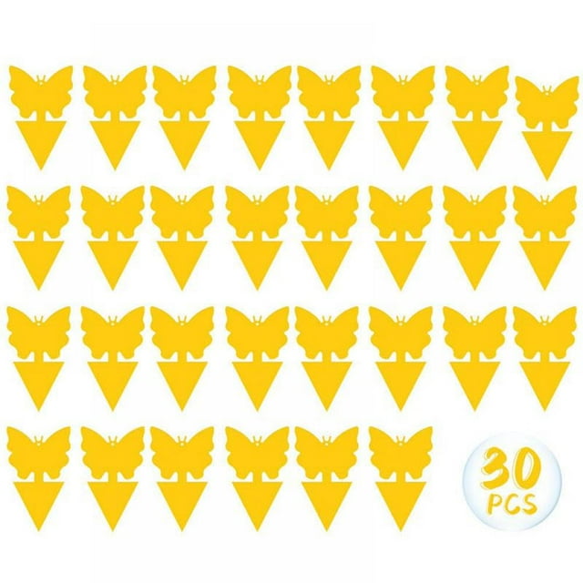 30 Pack Indoor Fungus Gnat Sticky Traps, Non-Toxic, Odorless, Dual ...