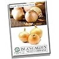 Yellow Sweet Spanish Onion Seeds for Planting, 750+ Heirloom Seeds Per ...