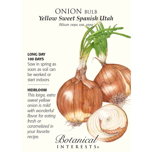 Yellow Sweet Spanish Utah Onion Seeds - 750 mg - Walmart Business Supplies