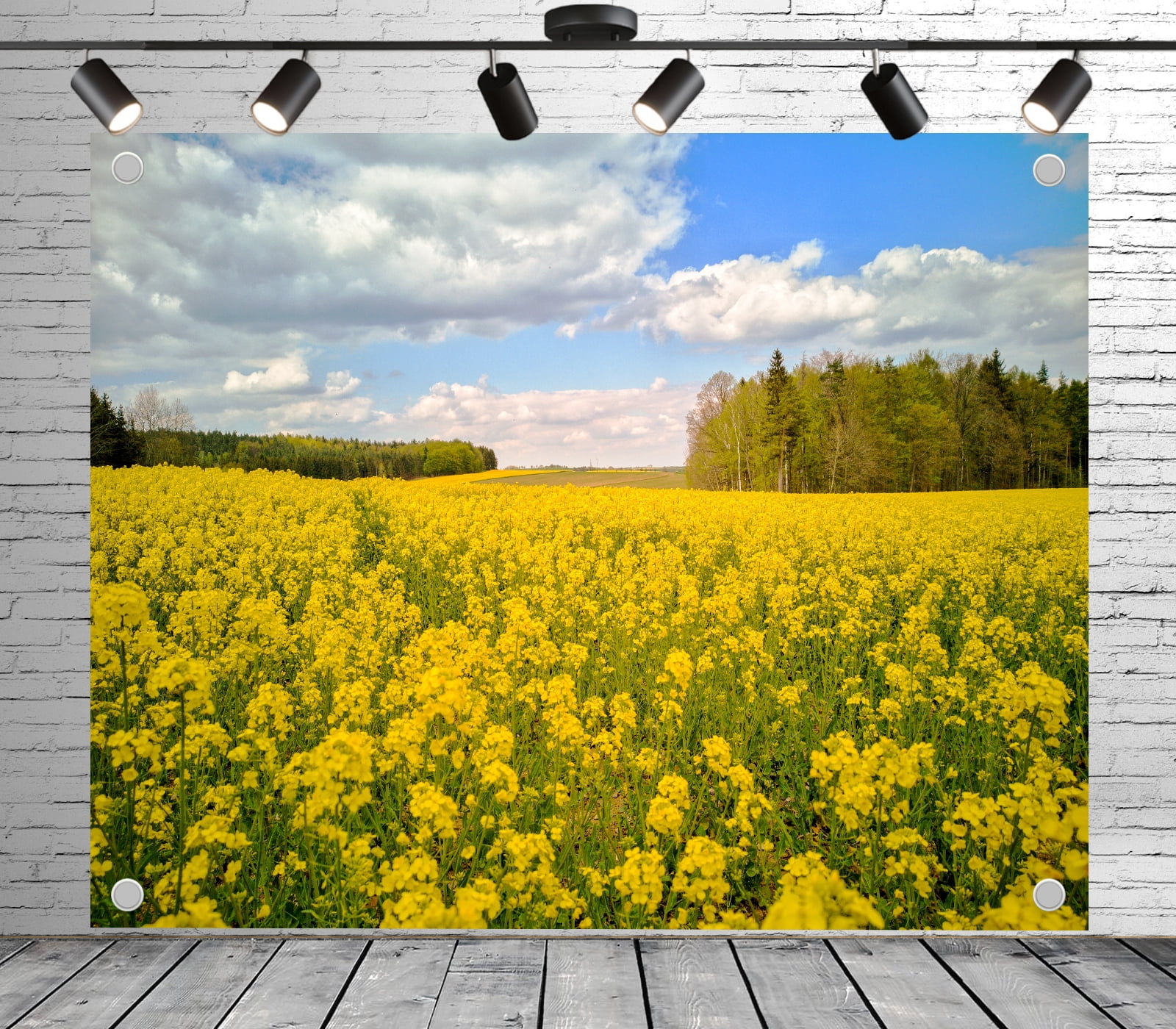 Yellow rapeseed field green trees backdrop | Polyester fabric banner ...