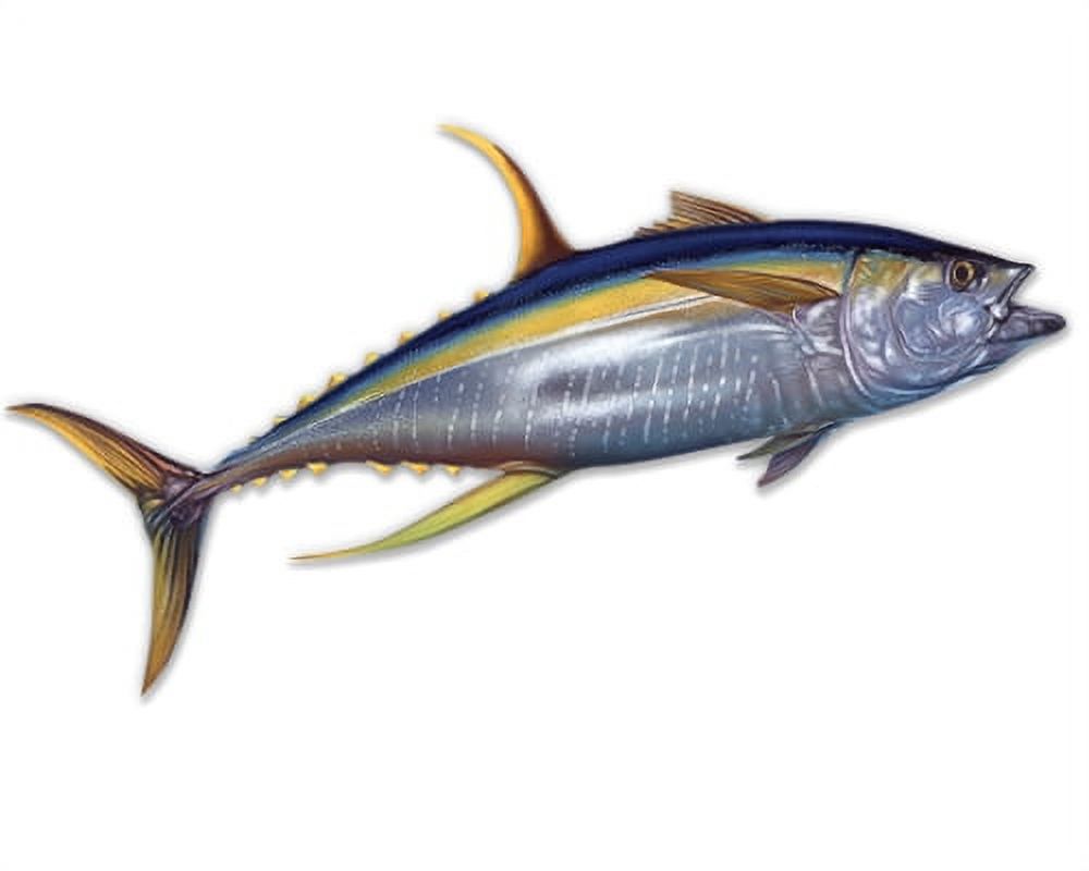 Yellowfin Tuna - 8" Vinyl Sticker - For Car Laptop I-Pad - Waterproof ...