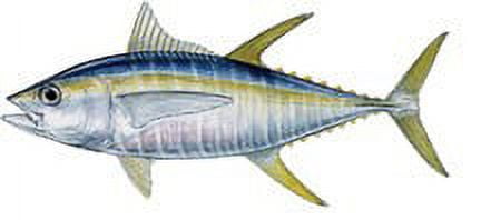 Yellowfin Tuna Decal - Walmart.com
