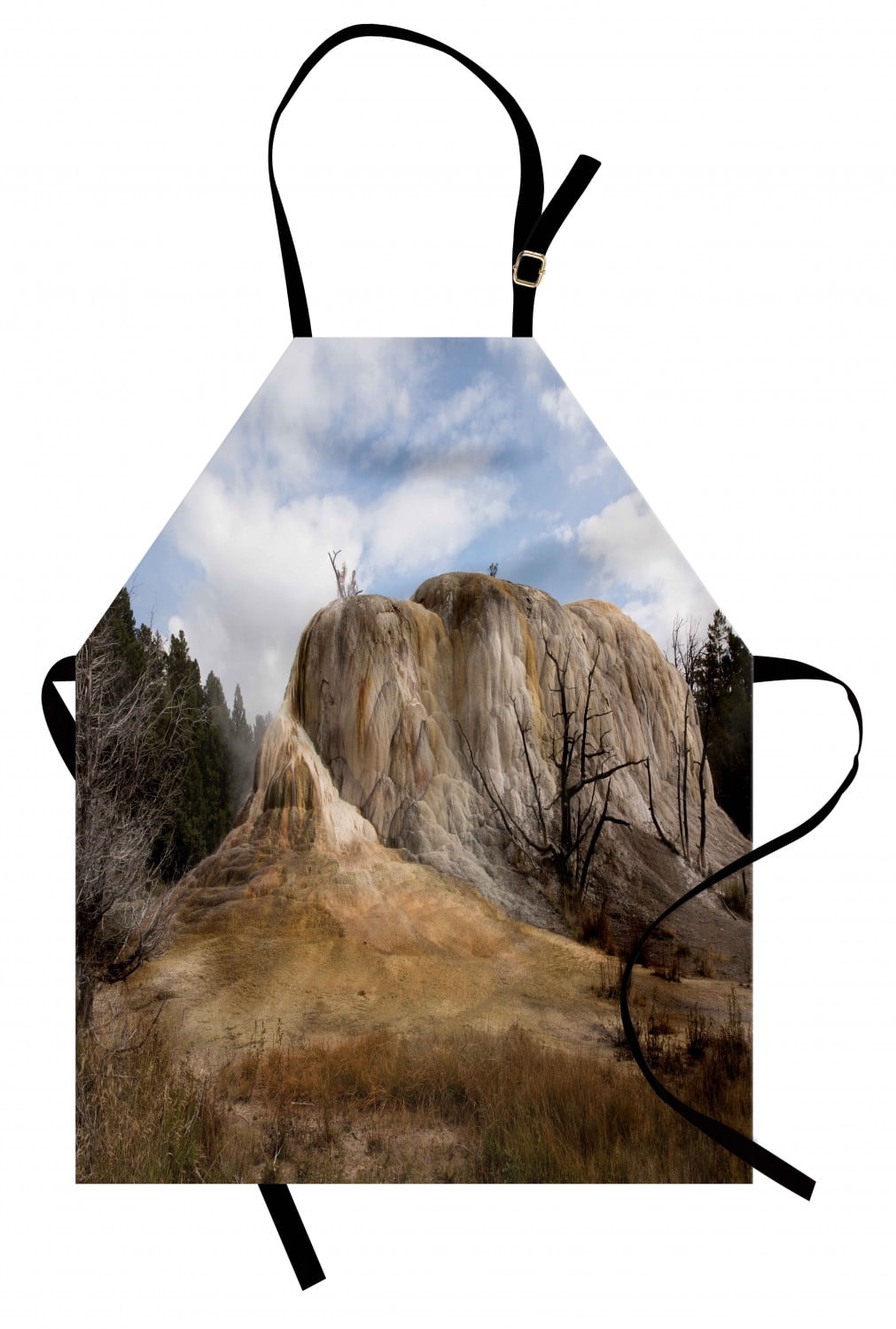 Yellowstone Apron Big Rock in Orange Spring Mound Yellowstone Forest ...