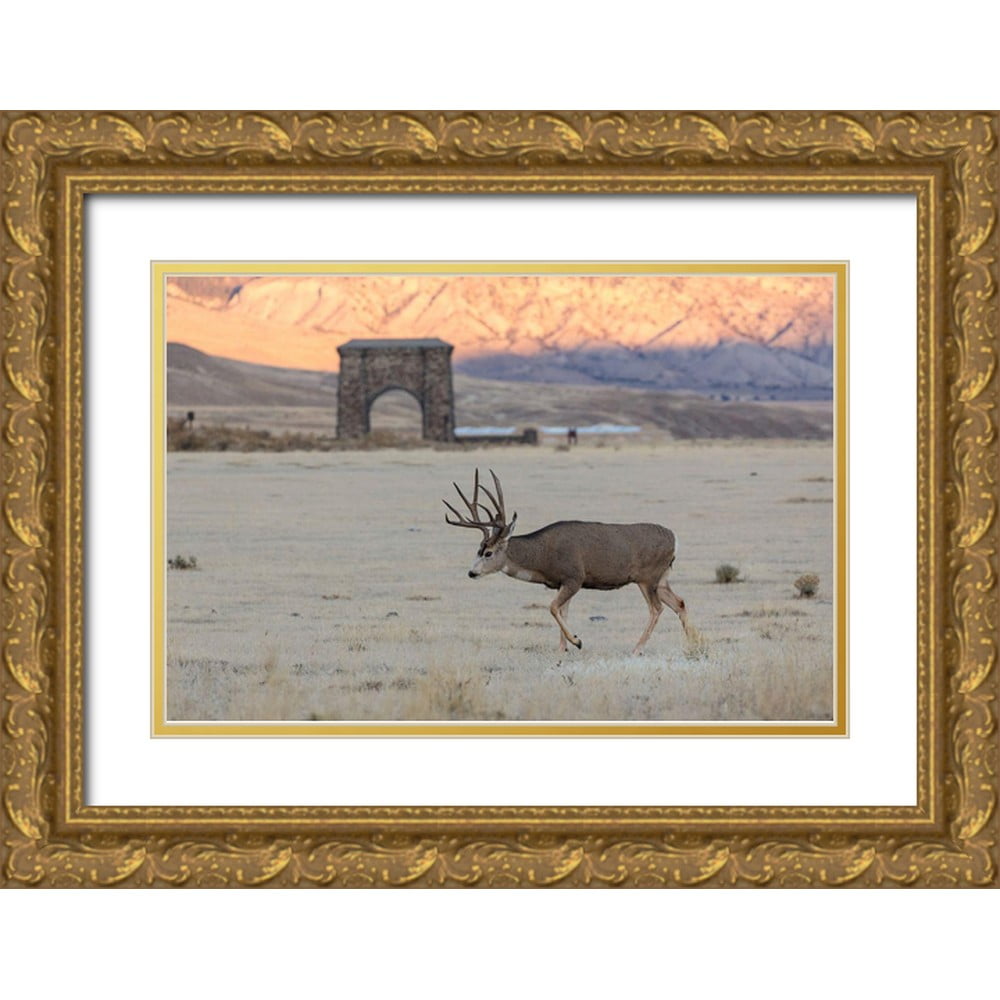 The Yellowstone Collection 14x11 Gold Ornate Wood Framed with Double ...