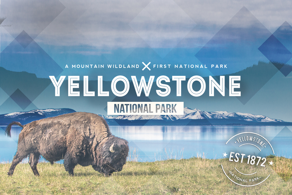 Yellowstone National Park, Bison Rubber Stamp (24x36 Giclee Gallery Art ...