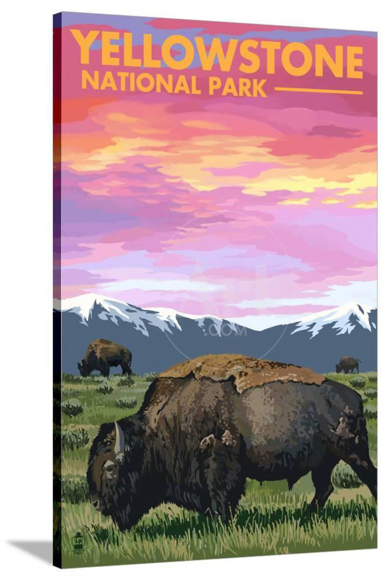 Yellowstone National Park Bison and Sunset, Stretched Canvas Wall Art ...
