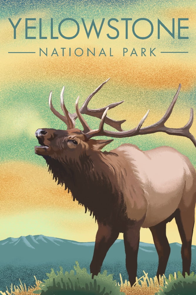 Yellowstone National Park, Elk, Lithograph (16x24 Giclee Gallery Art ...