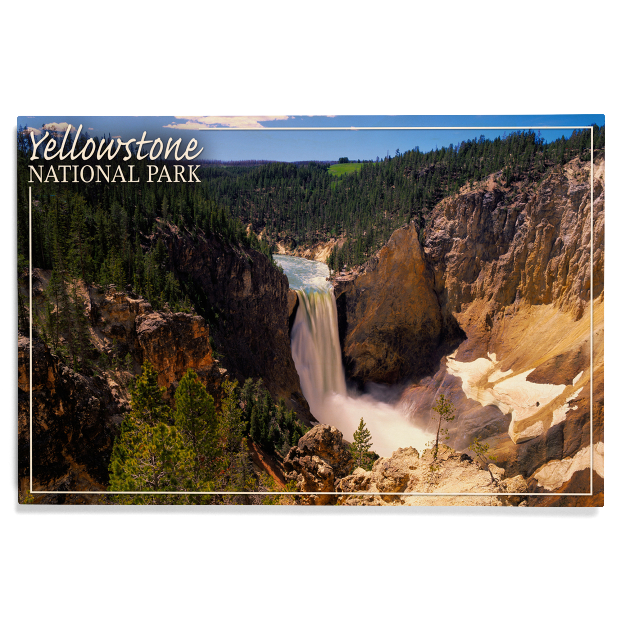 Yellowstone National Park, Lower Yellowstone Falls Aerial Birch Wood ...