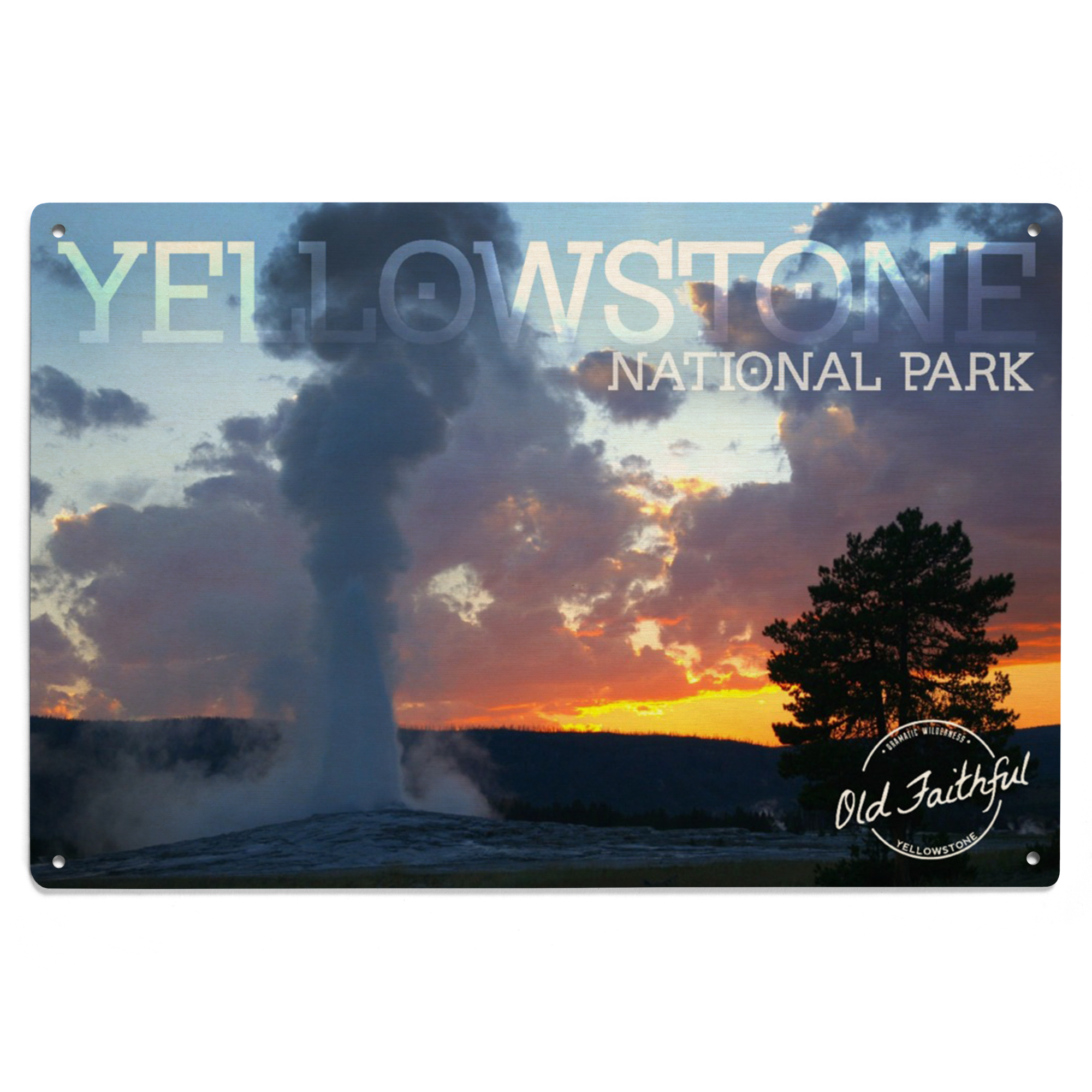 Yellowstone National Park, Old Faithful at Sunset Birch Wood Wall Sign ...