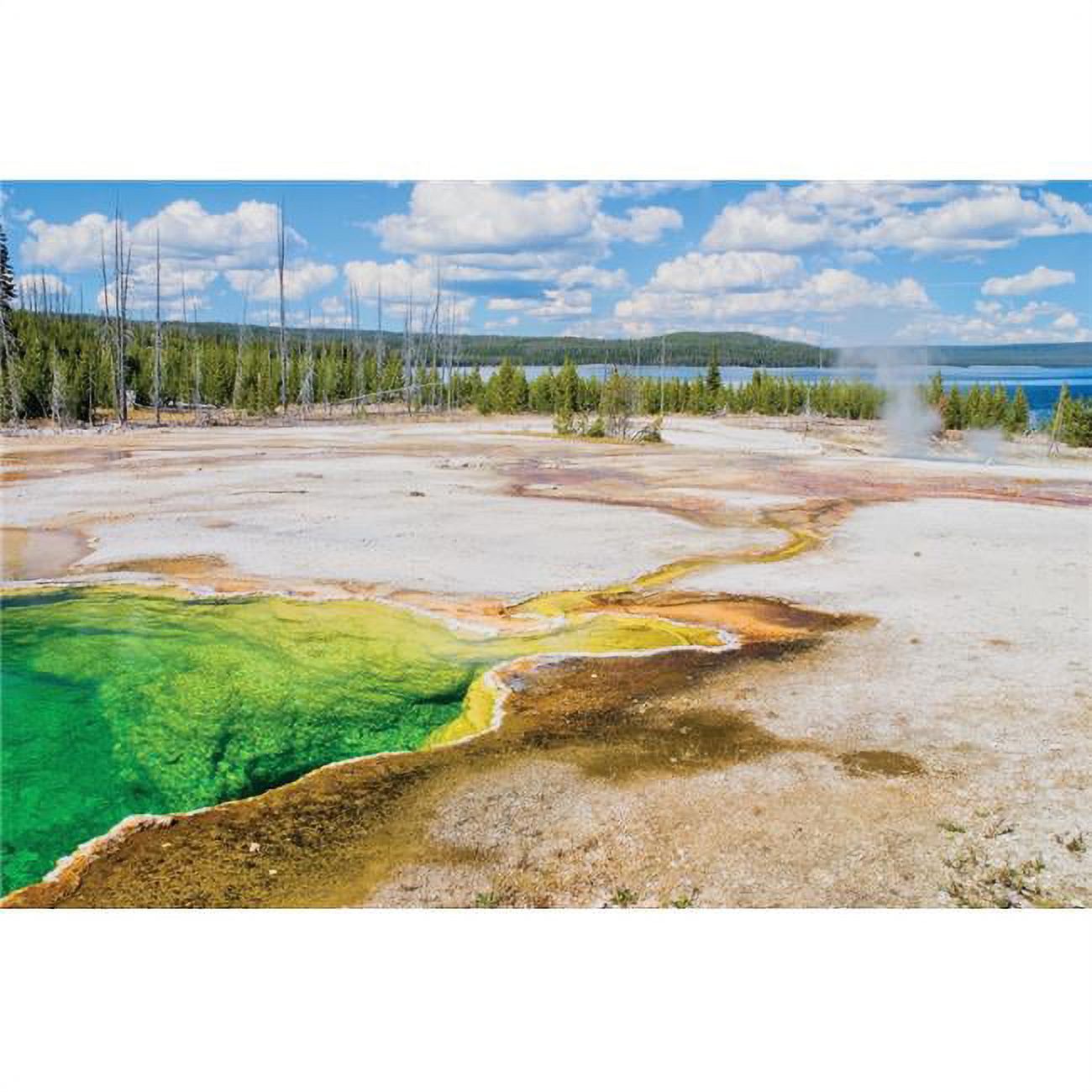 Yellowstone National Park United States of America - the West Thumb ...