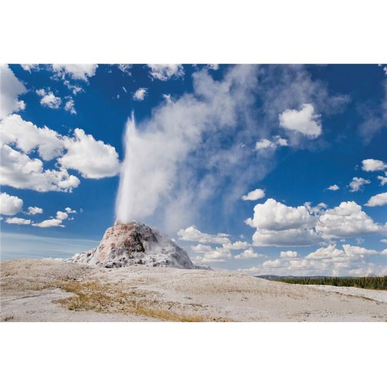 Yellowstone National Park United States of America - the White Dome ...