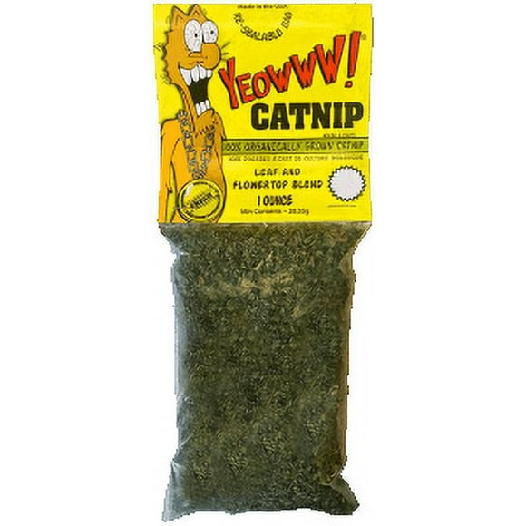 Catnip in Cat Treats - Walmart.com