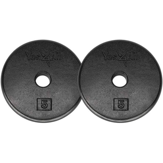 Yes4All 1-inch Cast Iron Weight Plates for Dumbbells – Standard Weight ...