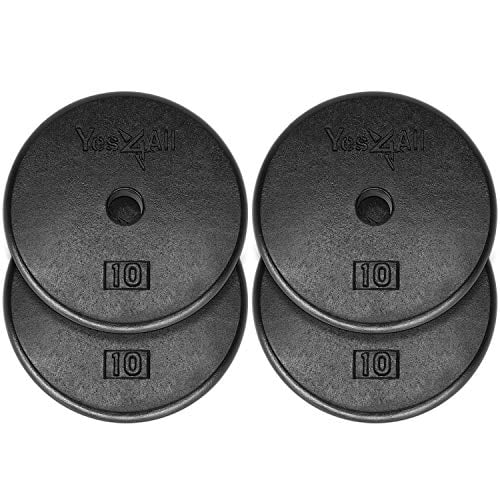 Yes4All 1 inch Cast Iron Weight Plates for Dumbbells, Standard Weight ...