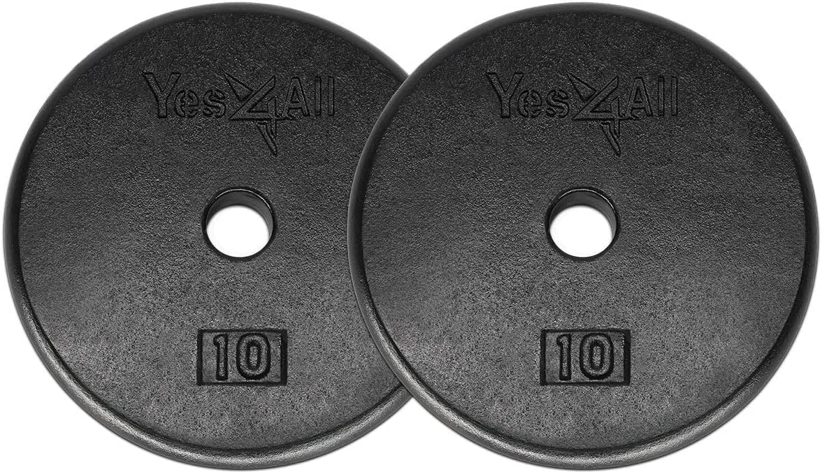 Yes4All 10 lbs Standard Weight Plates, 1 inch Cast Iron Weight Plates ...