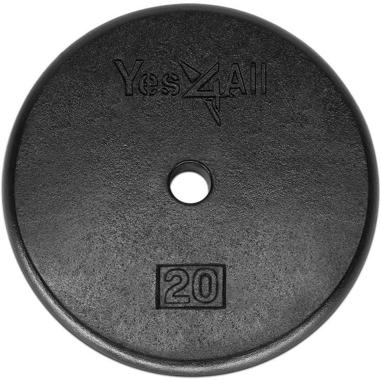 Yes4All 20 lbs Standard Weight Plates, 1 inch Cast Iron, Black, Single ...