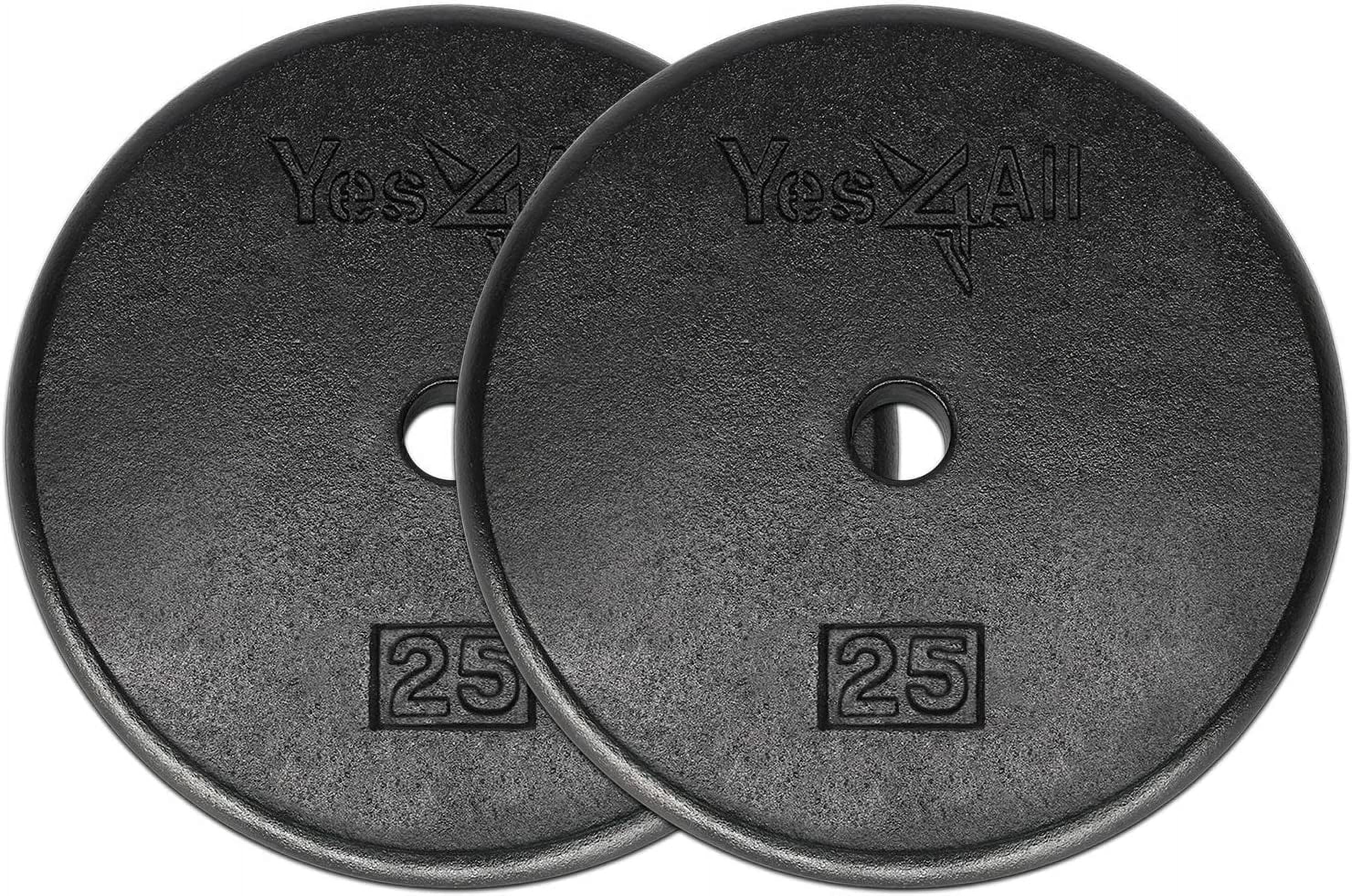 Yes4All 25 lbs Standard Weight Plates, 1 inch Cast Iron Weight Plates ...