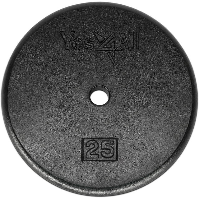 Yes4All 25 lbs Standard Weight Plates, 1 inch Cast Iron Weight Plates ...