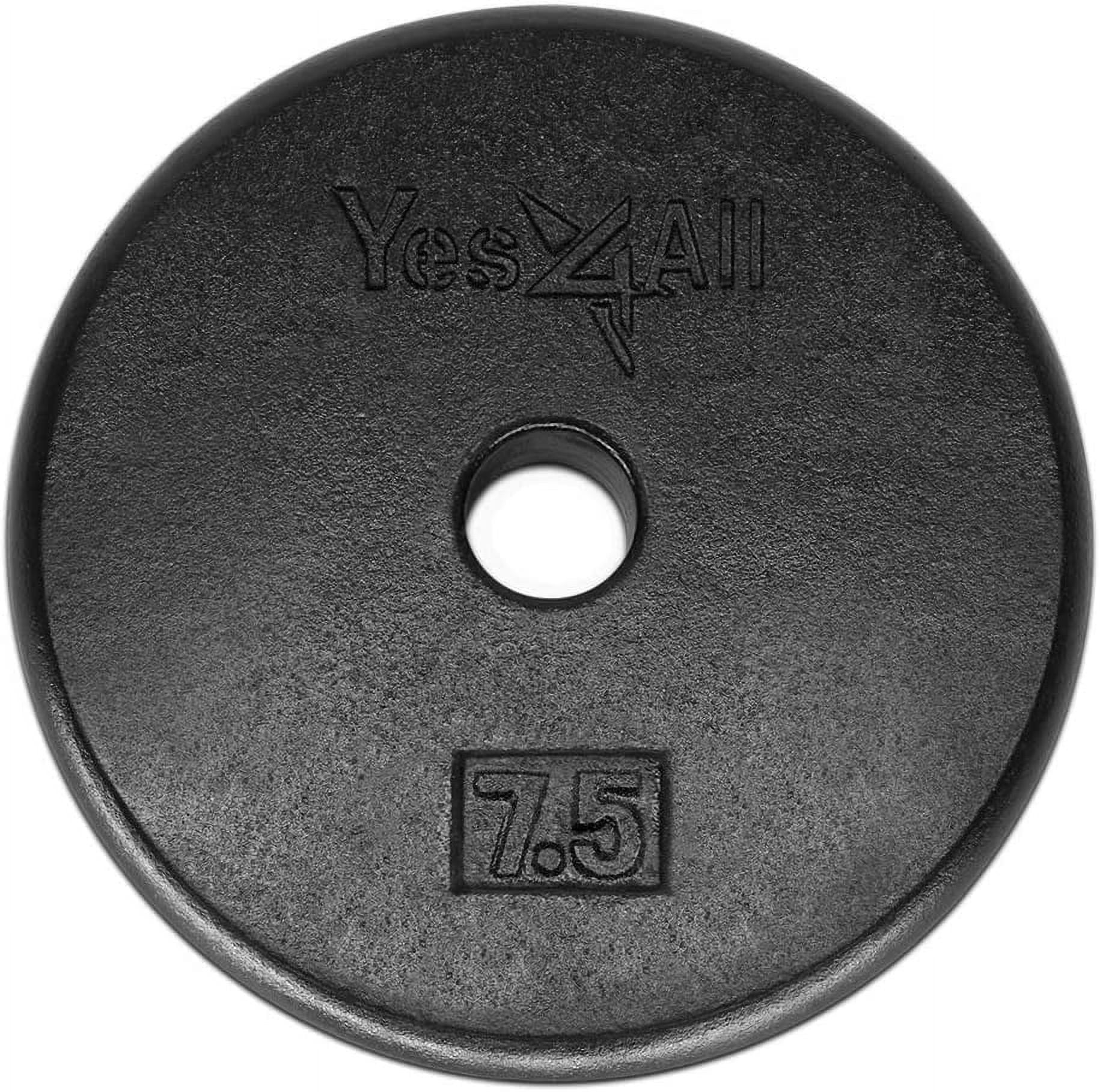 Yes4All 7.5 lbs Standard Weight Plates, 1 inch Cast Iron Weight Plates ...