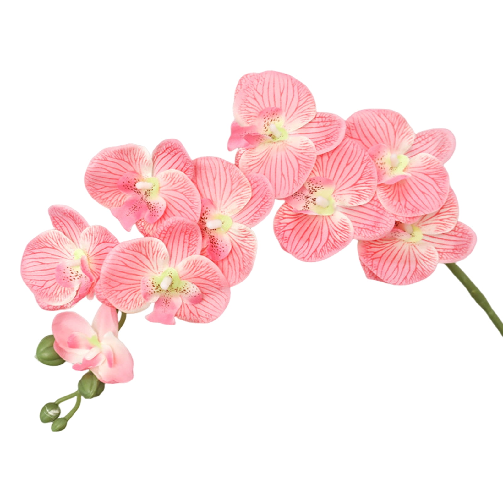 Yesbay Artificial Orchid Flowers Long Stemmed Realistic Phalaenopsis ...