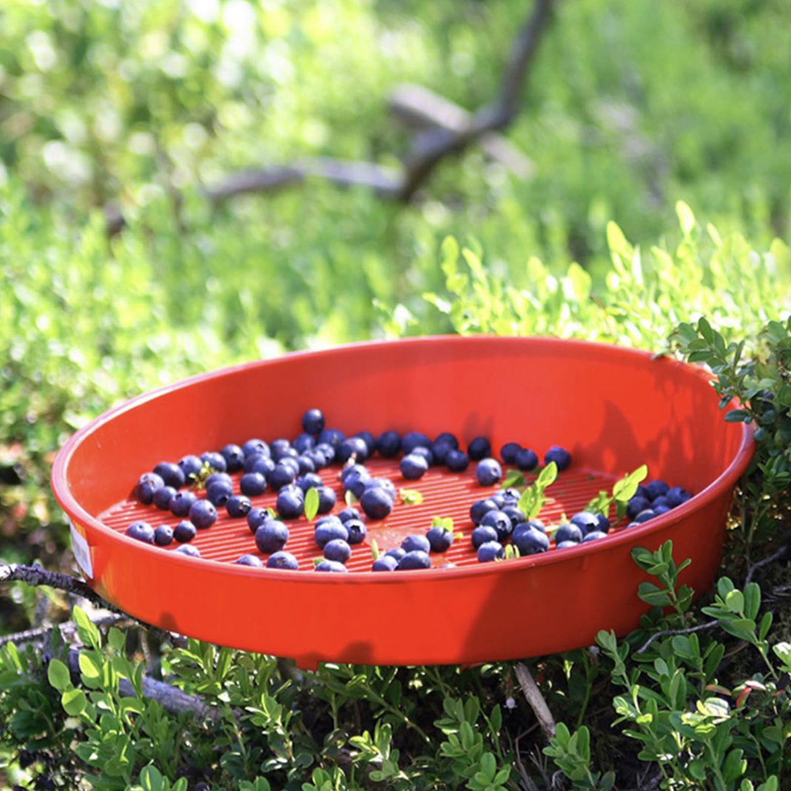 Yesbay Blueberry Food Sieve Colander ,Cleaning Tray Drain Berry ...