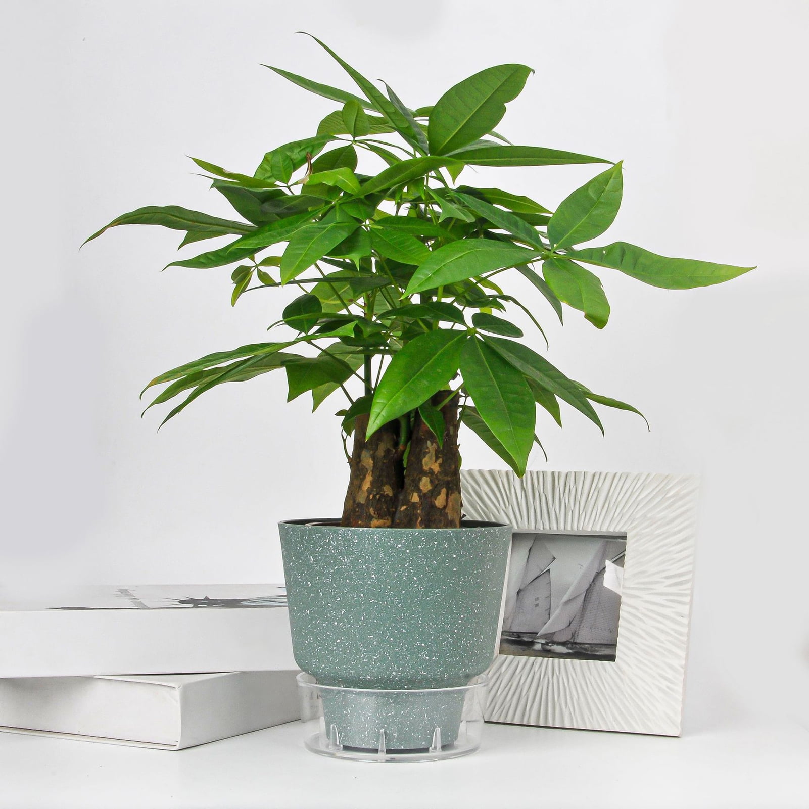 Yesbay Flowerpot Plant Pot with Visual Reservoir Drainage Hole Self ...