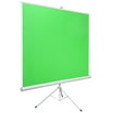 Homegear 5ft x 6ft Portable Pull Up Green Screen with Quick Setup Frame ...