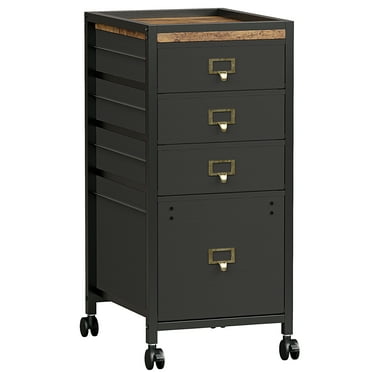 Black Mobile 4-Drawer File Cabinet, A4/Letter Size, Under Desk Home ...