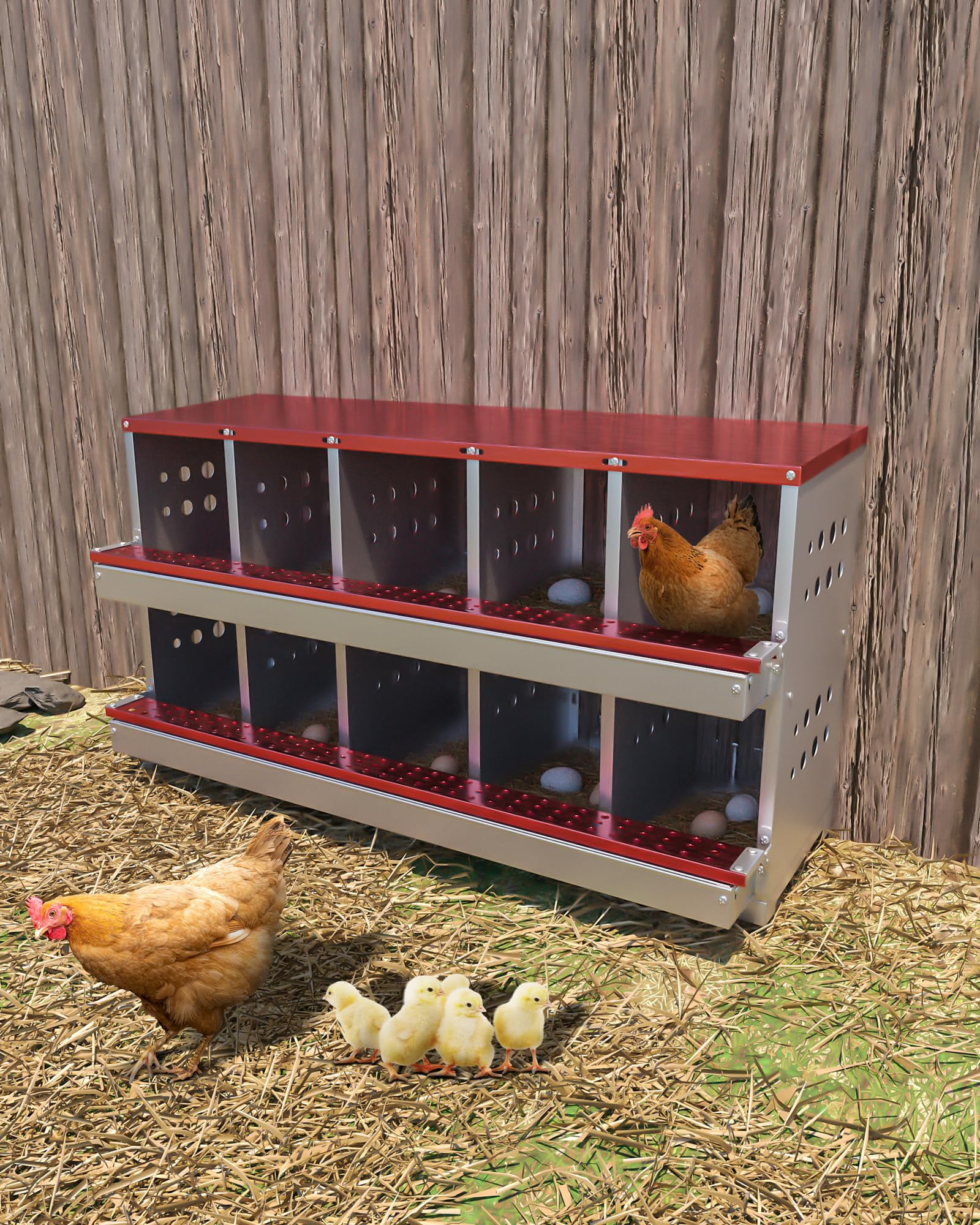 Yeshouse 10-Compartment Chicken Nesting Box - Roll Out Egg Collection ...
