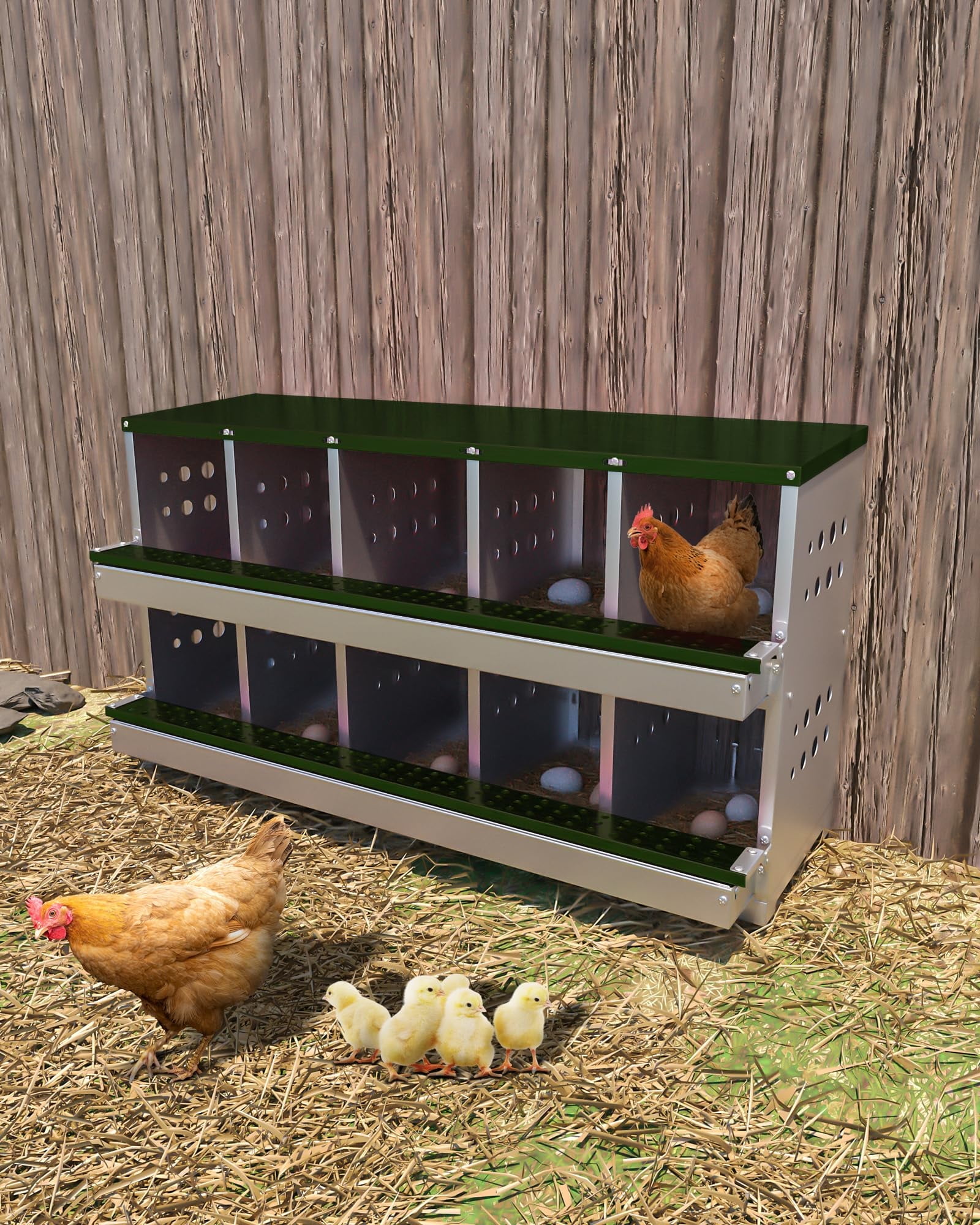 Yeshouse 10-Compartment Chicken Nesting Box - Roll Out Egg Collection ...