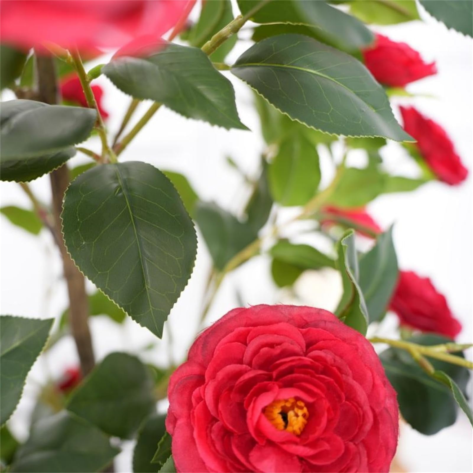 Yeshouse 5ft Red Artificial Camellia Tree, Pre-Potted Fake Blooming ...