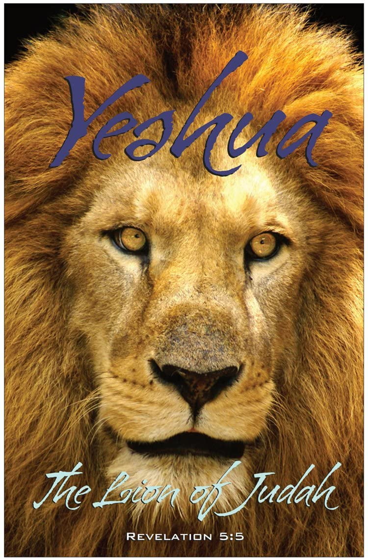 Yeshua Lion 11'' x 17'' Inspirational Christian Poster-D37 - Walmart.com