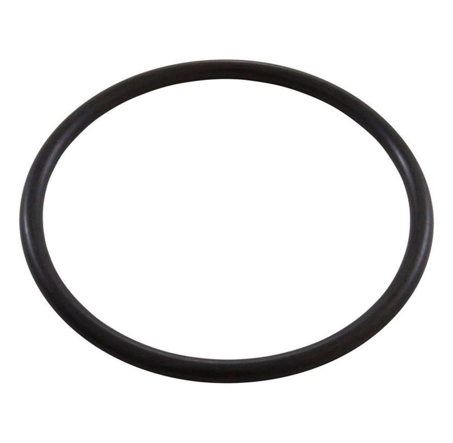 YfulYde Main O-Ring Electrode Housing Replacement for AquaPure Ei ...