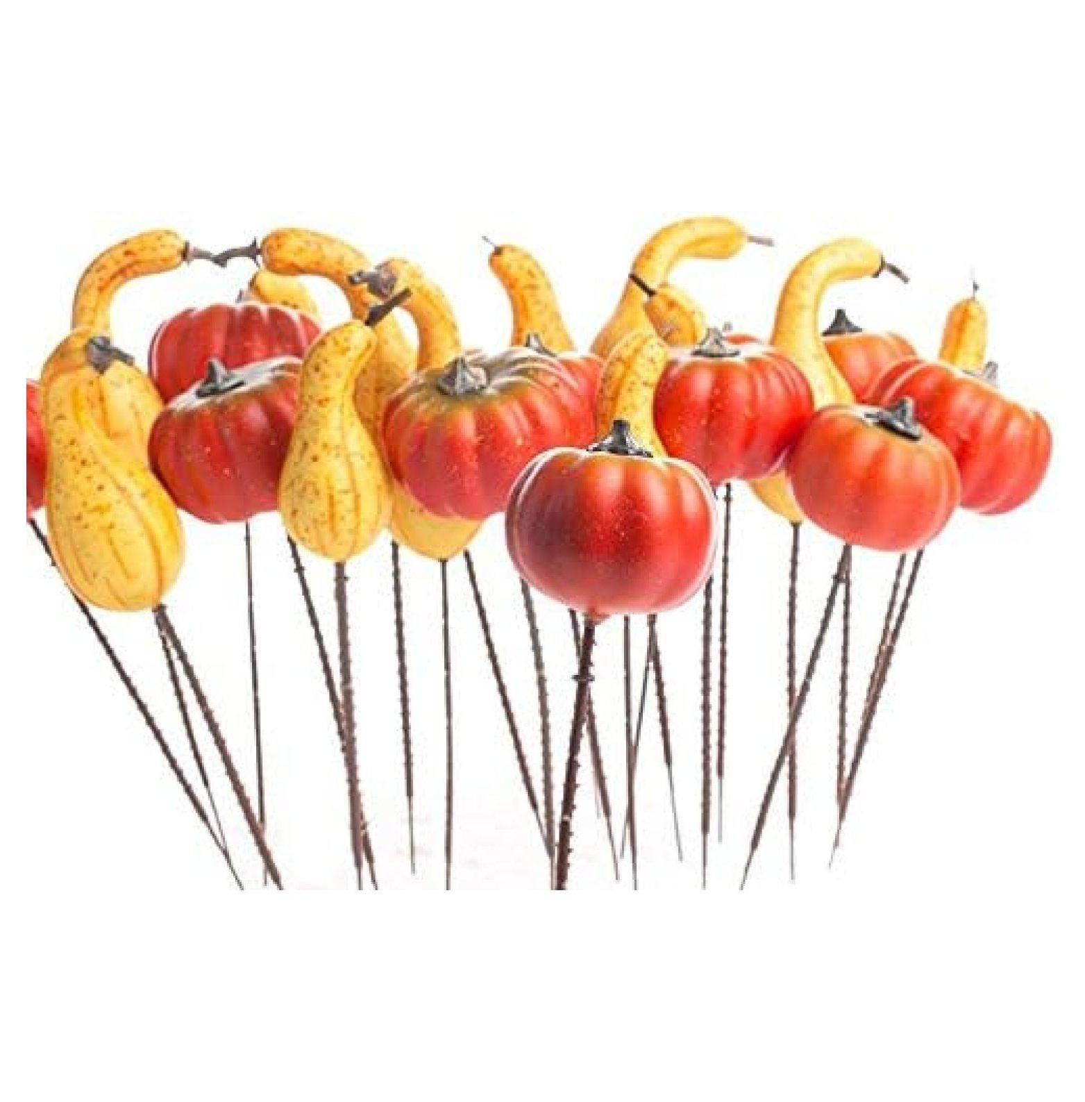 YfulYde Pack of 24 Small Artificial Autumn Assorted Pumpkin and Gourd ...