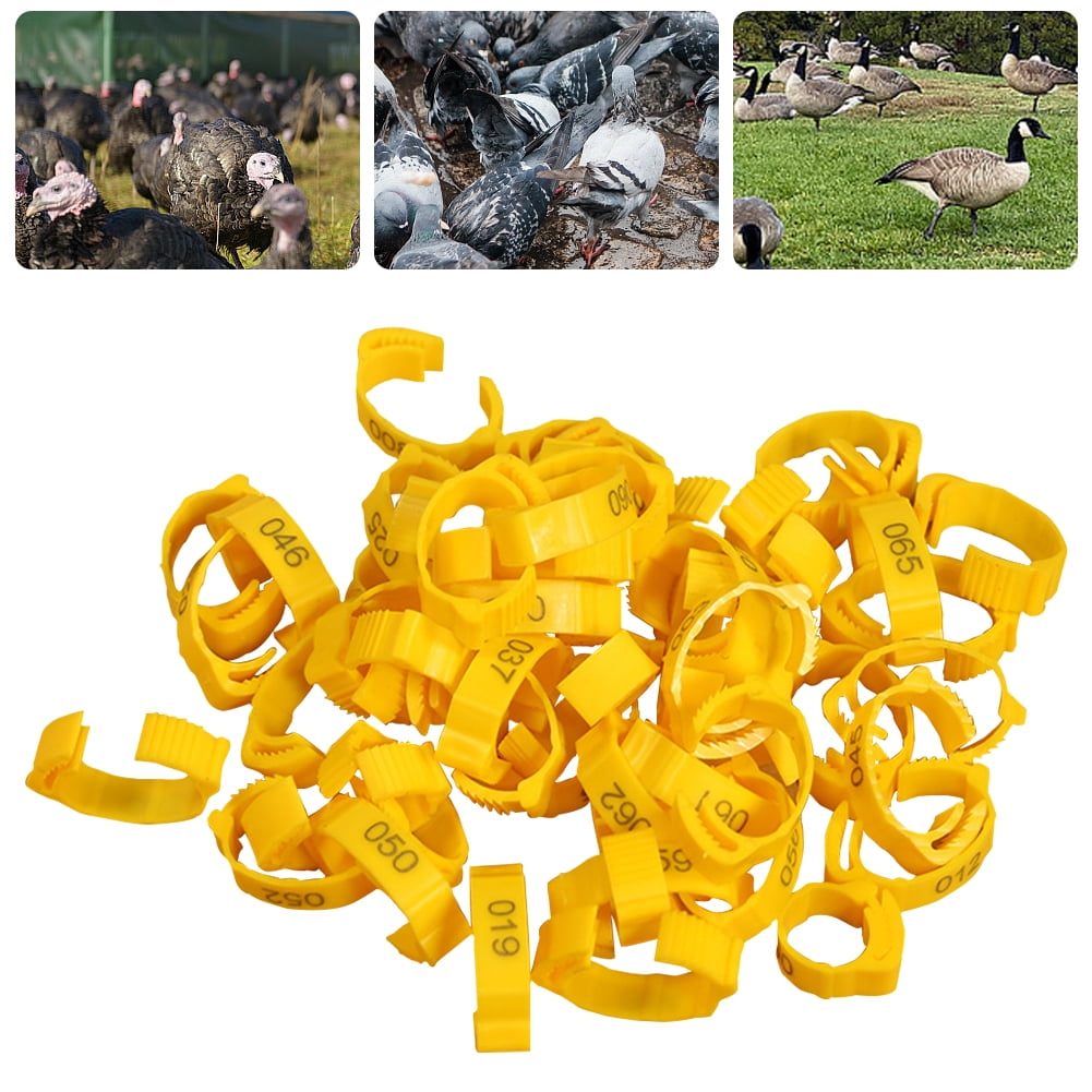 Yguping 100Pcs Plastic Label Clasp Adjustable Round Foot Tag Clip ...