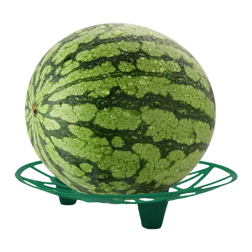 Yguping 5/10Pcs Watermelon Cradle Anti-Corrosion Fruits Vegetables ...