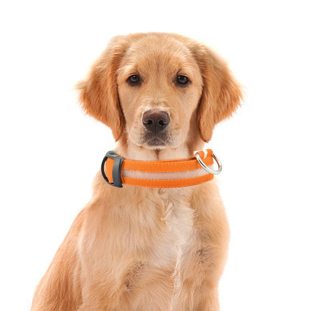 Yguping LED Dog Collar Flashing Glowing Dog Collar USB Rechargeable ...