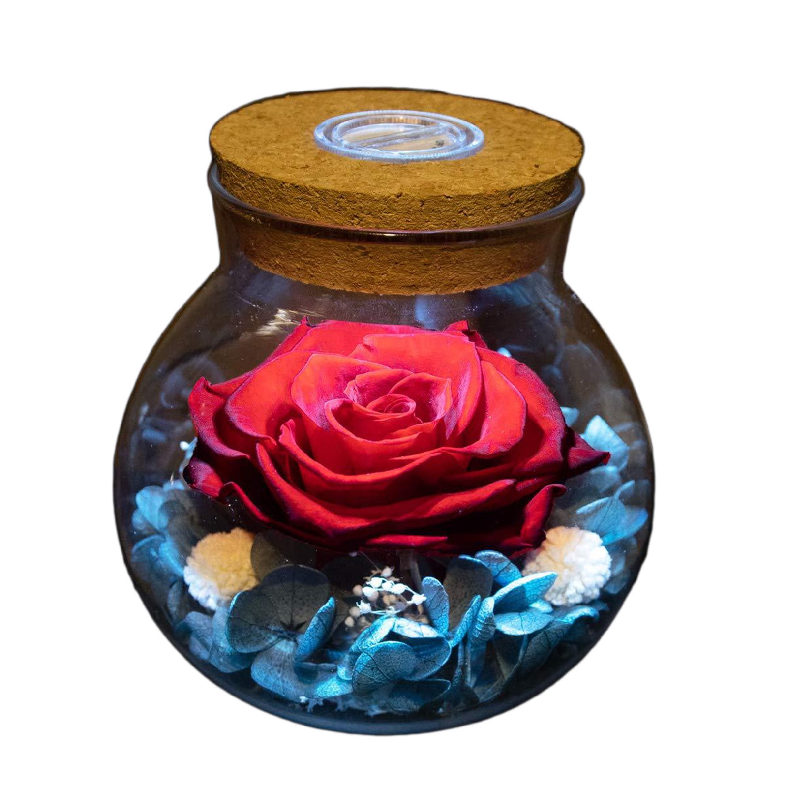 Yhmxh Preserved Real Roses with Red Mood Light Wishing Bottle,Eternal ...