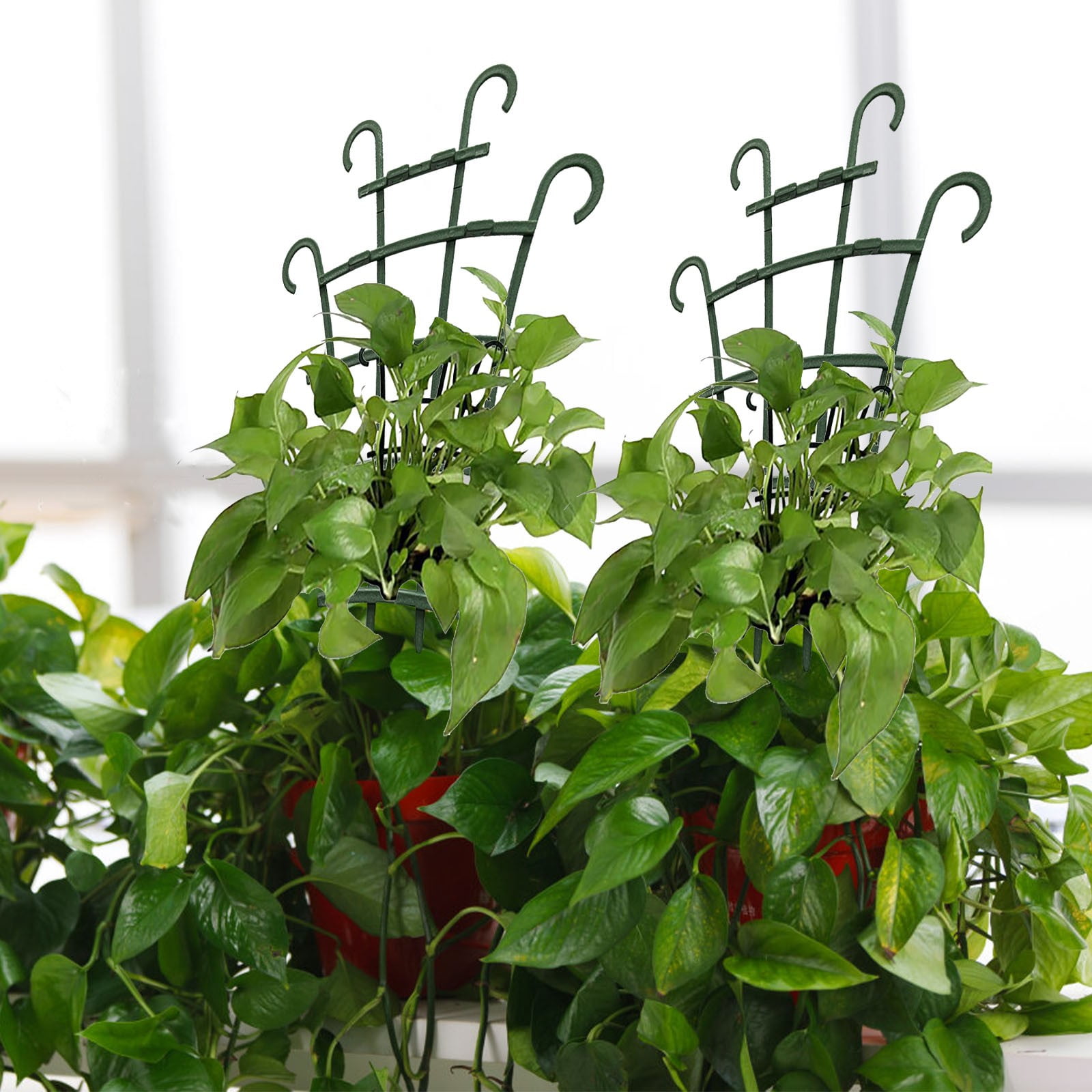 YiBai Climbing Pergola Plant Flower Stand Flower Stand Leaf Guard Iron ...