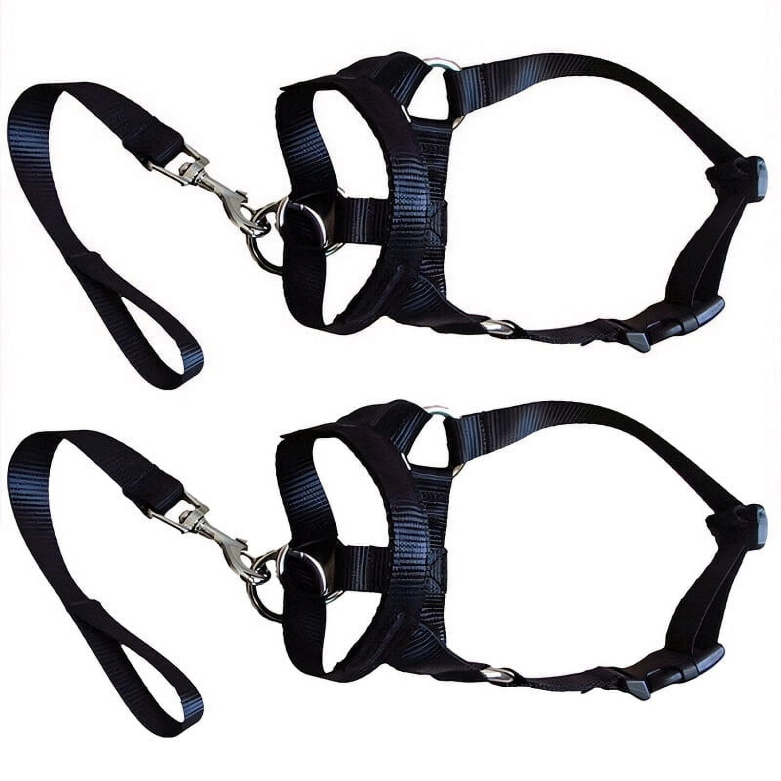 YiFrZou 2 Pack Durable Headcollar for Medium Dogs Black 2 Szie ...