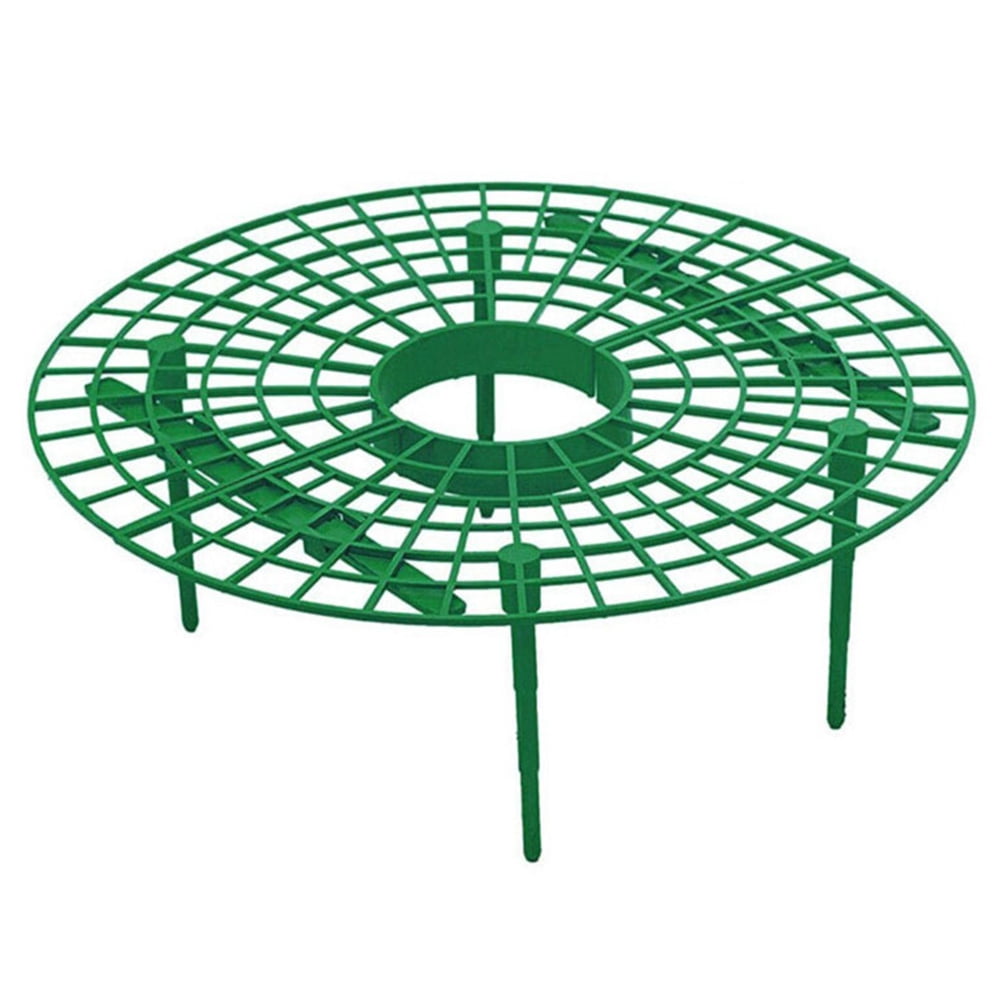 YiaNXan Strawberry Plant Support Strawberry Growing Frame Avoid Ground ...