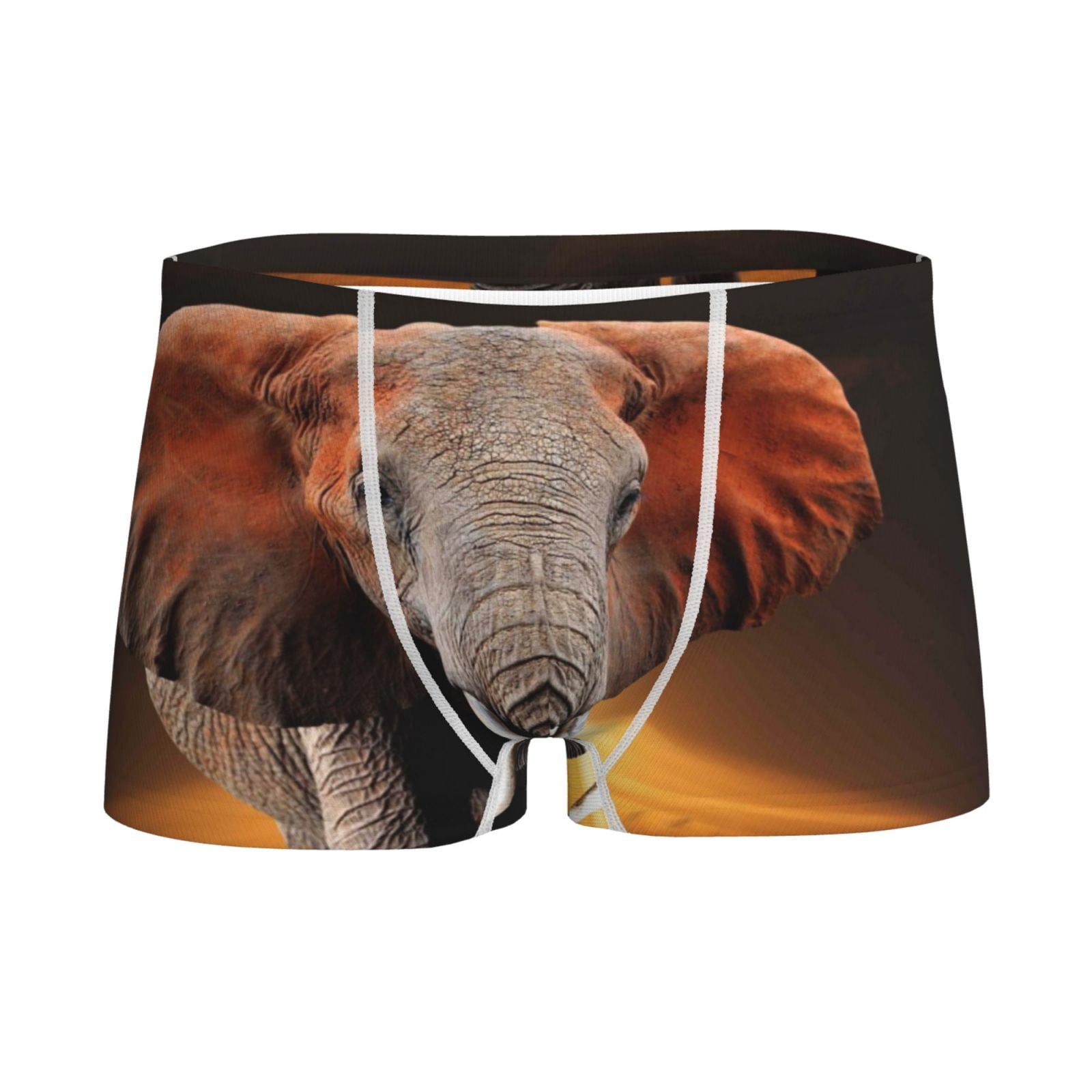 Yiaed Elephant Sunset in Kenya Print Boys' Boxer Briefs Cotton Casual ...