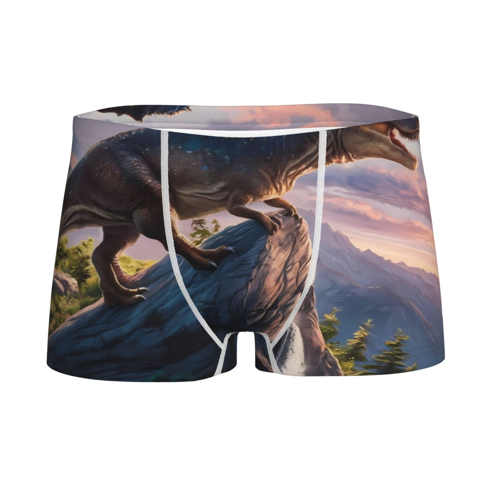 Yiaed Sunset Cliff Dinosaur Print Boys' Boxer Briefs Cotton Casual ...